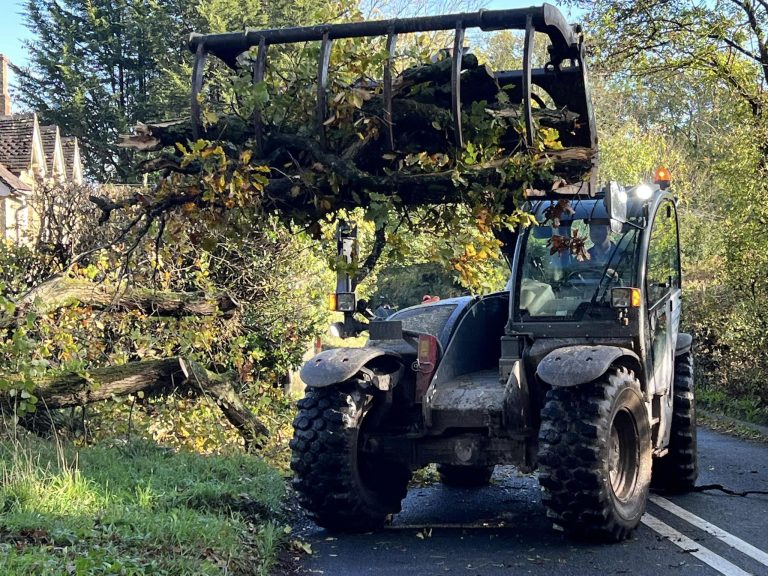 Tree Surgeon Salisbury, New Forest | Tree Services Salisbury