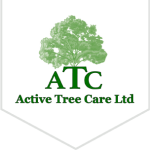 Tree Surgeon Salisbury, New Forest | Tree Services Salisbury